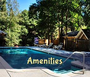 Arrowhead Tree Top Lodge - Mini Lake Arrowhead Resort in the San ...
